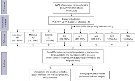Causal Effects Of Serum Sex Hormone Binding Protein Levels On The Risk