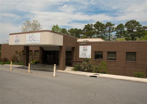 Facility Arkansas Epilepsy Program