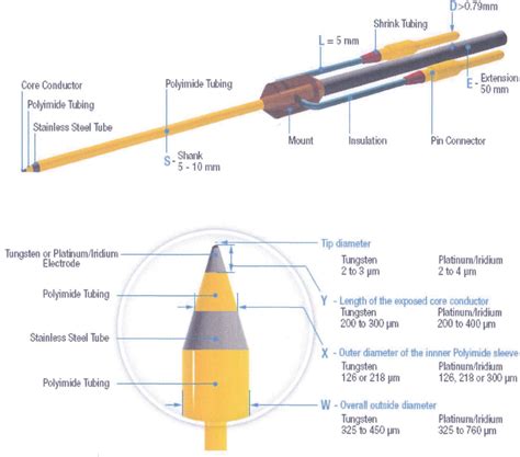 Concentric Bipolar Stimulating Electrode At Eugene Bergeron Blog