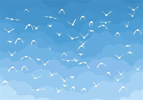 2d Sky Birds Detail Vectors Download Free High Quality Vectors From