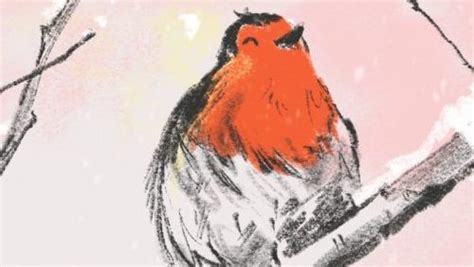 Robin Goch Film Hub Wales Canolfan Ffilm Cymru