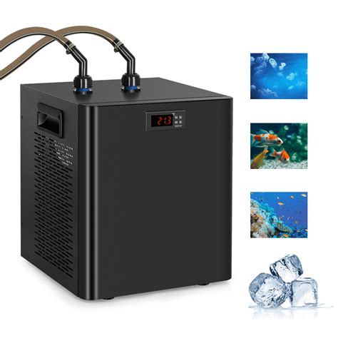 What Is A Chiller Aquarium At Jessica Fly Blog