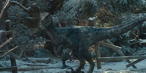 Jurassic World Dominion Blue 10 By Giuseppedirosso On Deviantart