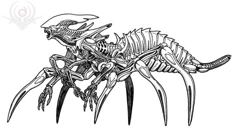 Spider Worker Alien By Scorpenomorph On Deviantart