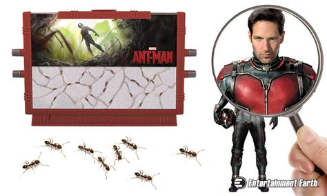 The Classic Ant Farm Gets A Twist Thanks To Scott Lang