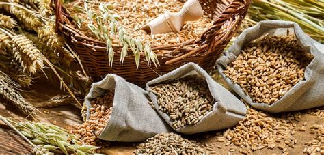 14 Allergens What To Look For On The Label