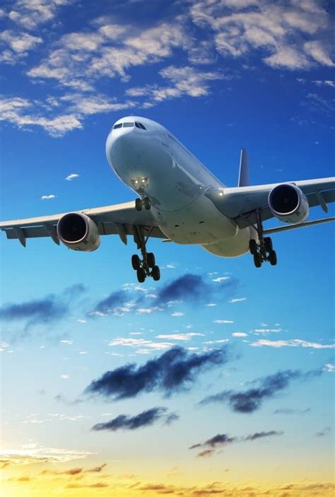 Bayber Lojistik Logistics And Transportation