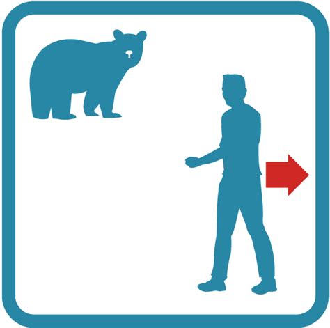 Infographic How To Defend Against A Black Bear Attack The Globe And Mail