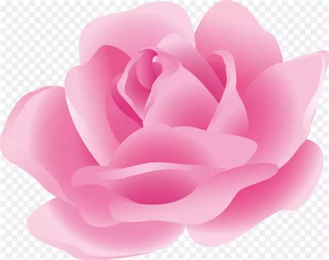 卡通花生油卡通花艺png图片素材下载图片编号7370329 Png素材网