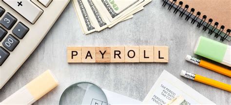 Payroll Audit Relyon Business Solution Raipur C G