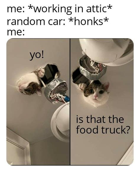 Anyone Else Love Roach Coach Food Scrolller