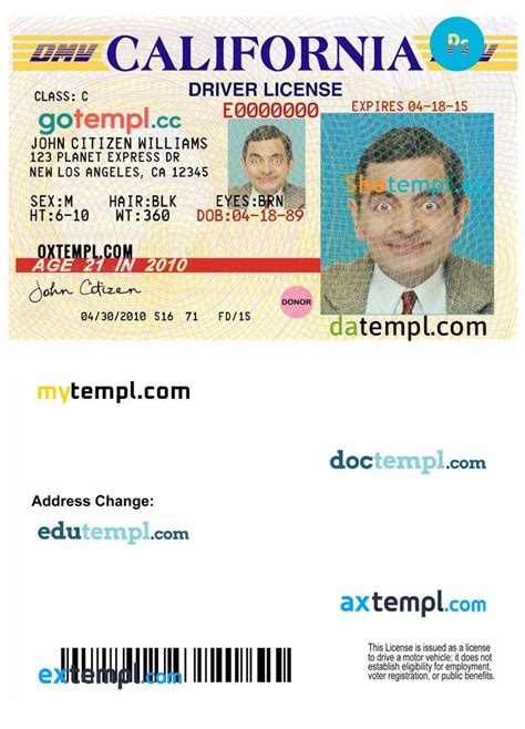 Blank Drivers License