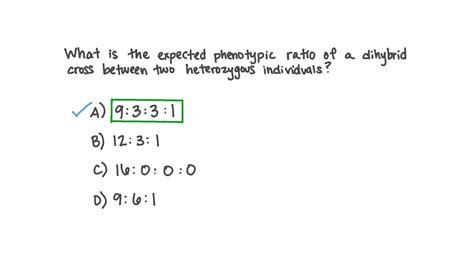Phenotype Ratio Example