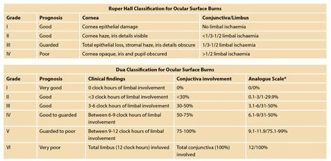 Periocular Burns A Literature Review Of Classification Management