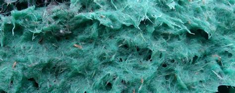 What Is Flexterra Hp Flexible Growth Medium