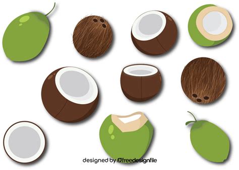 Coconut Vector Free Download