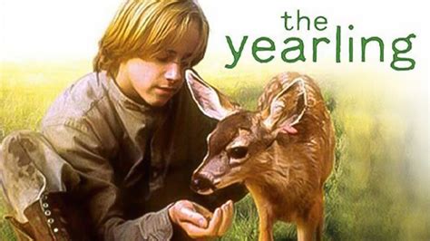 صفحه برنامه گوزن جوان تلوبیون مرجع پخش زنده و دانلود فیلم ، سریال و سایر برنامه های تلویزیون