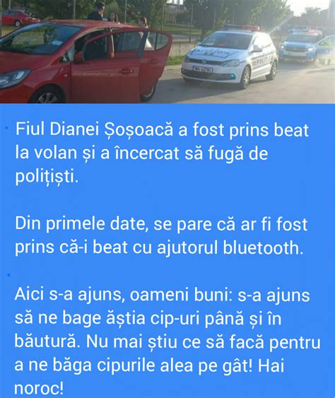 L Au Luat Acum și Pe Fiul Lui Șoșoacă Comentacii
