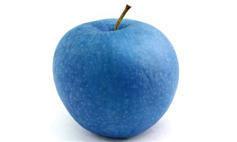 Does Blue Apple Exist Flower Garden Pictures