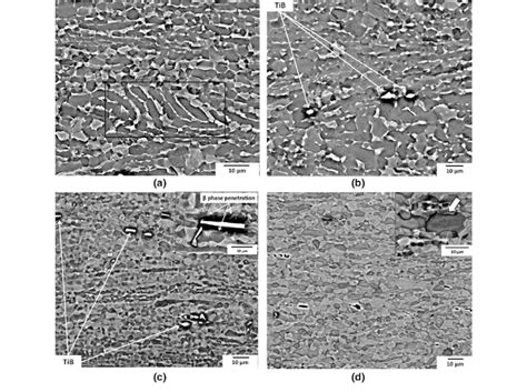 Sem Micrographs Bse Mode Showing Microstructures For Ti64b Alloy
