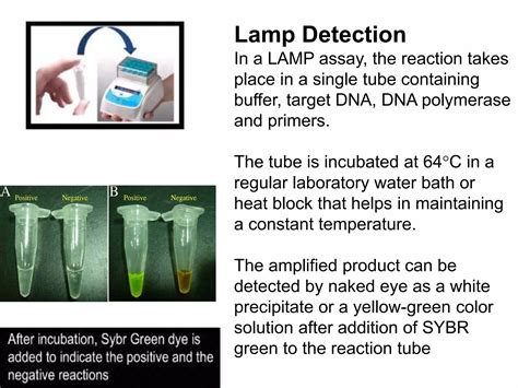 Loop Mediated Isothermal Amplification Pptx Chemistry Science