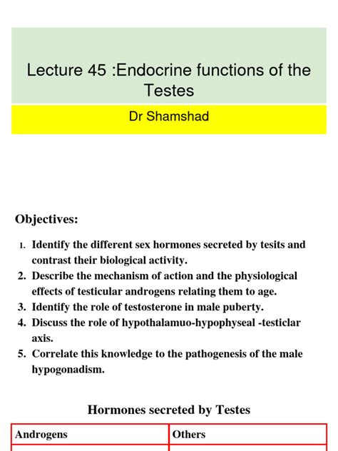 Lecture 45 Endocrine Functions Of The Testes Dr Shamshad Pdf