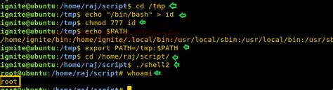 Linux Privilege Escalation Using Path Variable