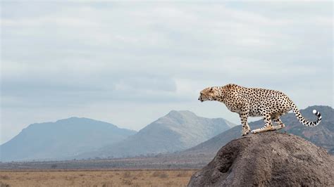 Data Strategy Consulting Digital Strategy Consulting