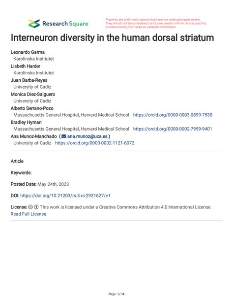 Pdf Interneuron Diversity In The Human Dorsal Striatum