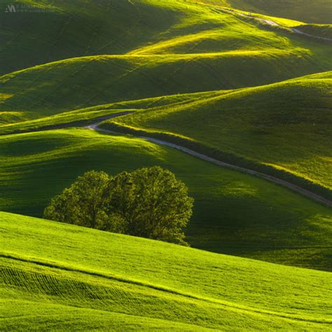 Aurel Manea Photo Archive Dystalgia Aurel Manea Photography Aurel Manega