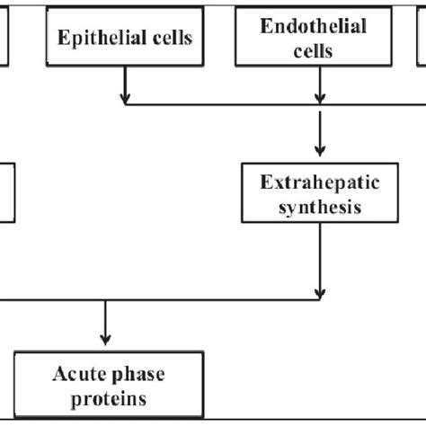Structure And Function Of Crp Download Scientific Diagram