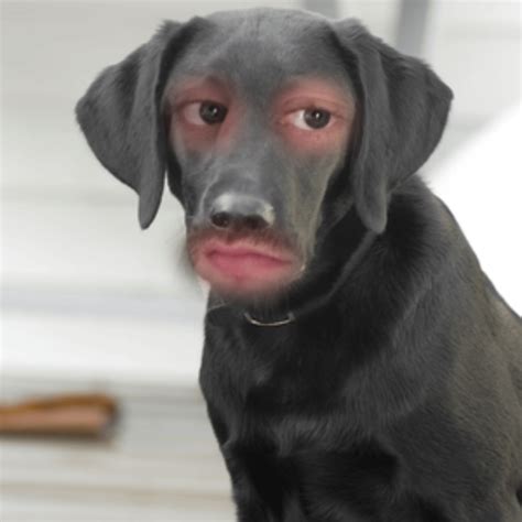 Graycen New Twitch Icon Rgraycen