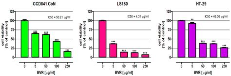 Berberis Vulgaris L Root Extract As A Multi Target Chemopreventive