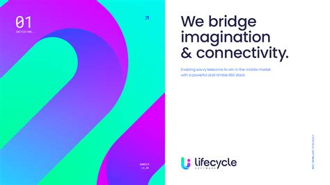Lifecycle Software Rebrand Behance