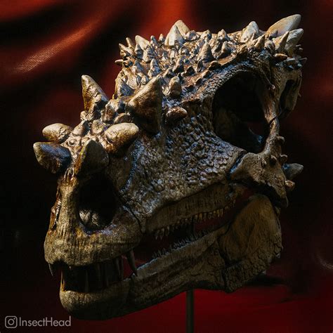 Dracorex Skull