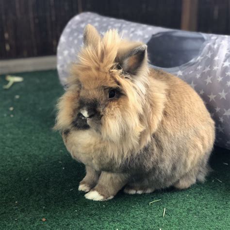 Stream Isabel Ebert Music Listen To Songs Albums Playlists For Free On Soundcloud