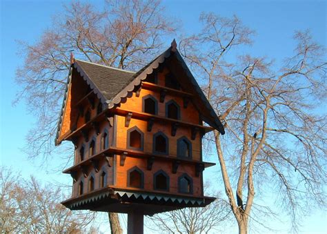 Showduivenfokkerij Bas Hendriks Cteme Ino Facebook