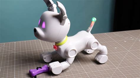 Best Robot For Dog Fur At Albert Pietsch Blog