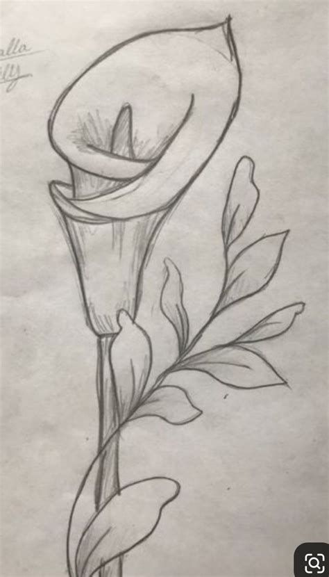 Pin By Rosario On Flor Cartucho Art Drawings Sketches Simple