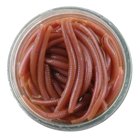 Shop Worms Berkley® Worm Bait For Freshwater And Saltwater