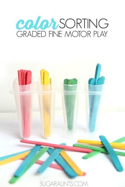 Discover 170 Aba Sorting Categories And Sorting Ideas Preschool Activities Teacch Sorting