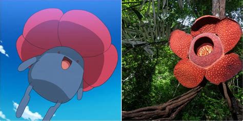 Pokemon Based On Real Plants
