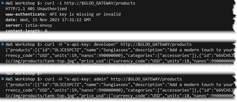Lab 5 Authentication API Key English