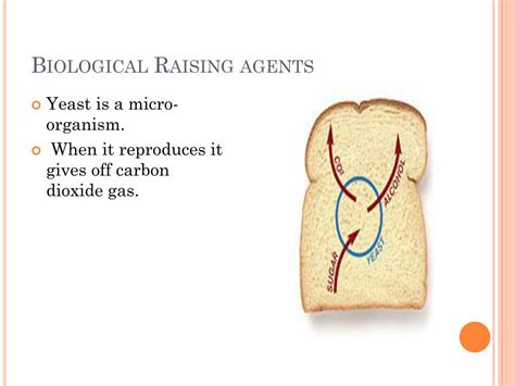 Ppt Facts About Raising Agents Powerpoint Presentation Id150057