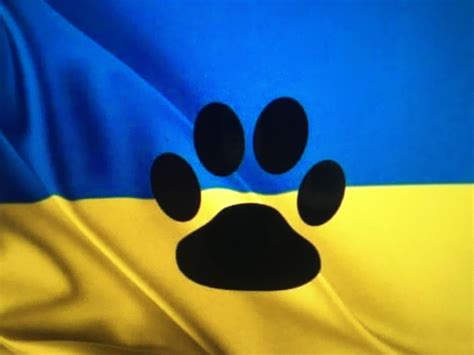 Jon Provost It All Started 68 Years Ago On The 8th Of Facebook