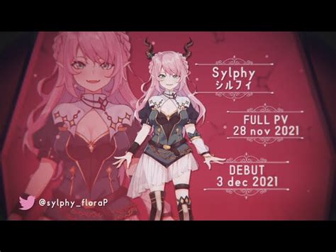 Video Production Birbproduction