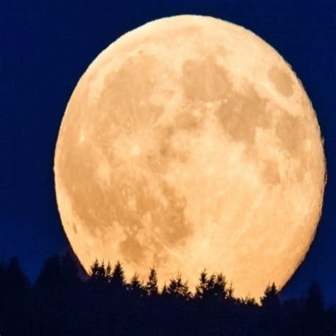 Qué Hay Dentro De La Pirámide De Kukulkán En Chichén Itzá Y Por Qué