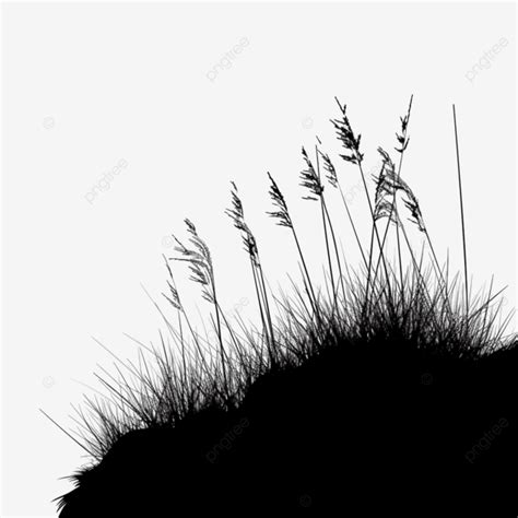 Grass Hill Silhouette Grass Hill Grass Silhouette Hill Silhouette