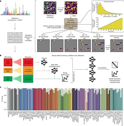 Ultra Fast Deep Learned Cns Tumour Classification During Surgery