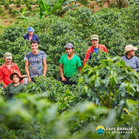 Canal Là Gì Khám Phá ý Nghĩa Ví Dụ Và Cách Sử Dụng Từ Canal Trong